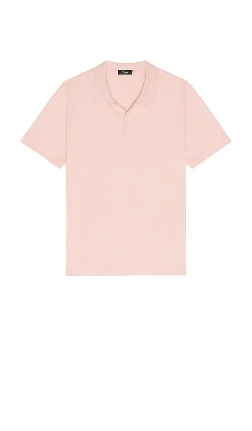 Theory Bron Polo In . Also
