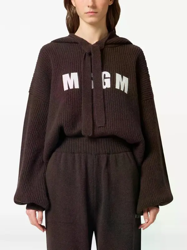 MSGM Logo-print Hoodie