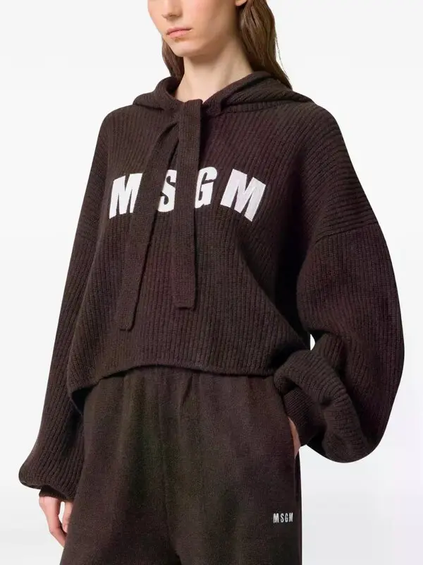 MSGM Logo-print Hoodie