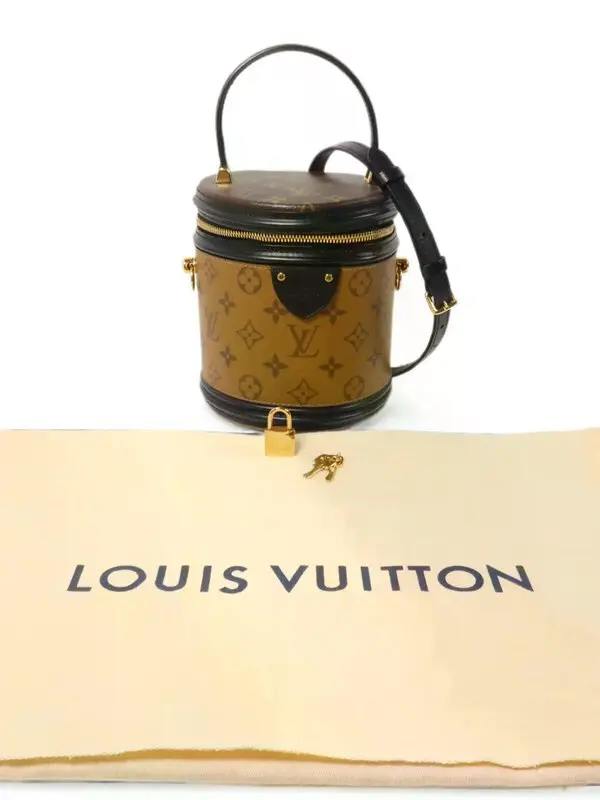 LOUIS VUITTON Cannes Monogram Reverse Shoulder Bag