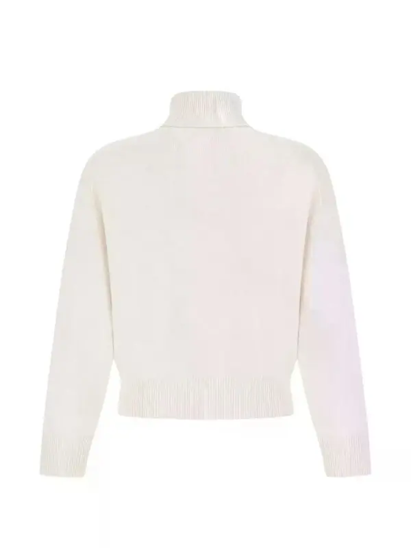 VANISE Vanisé Cashmere Roll Neck Sweater