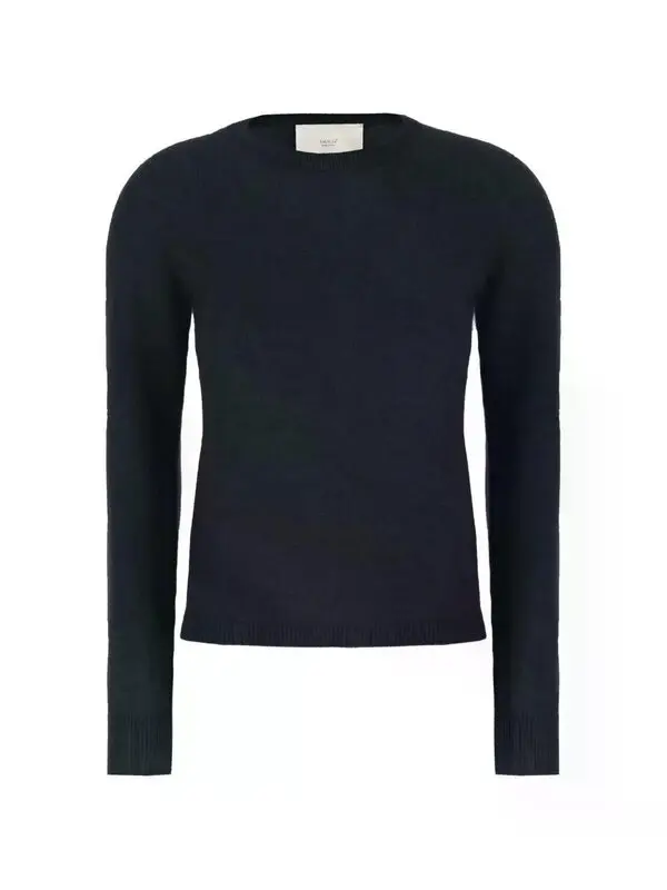 VANISE Cashmere Crew-neck Sweater