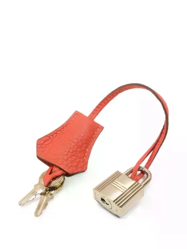 Hermès Birkin 25 Togo Leather Handbag