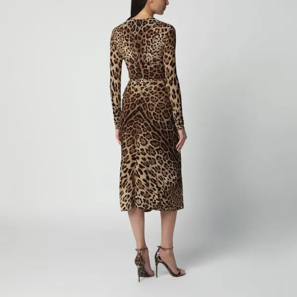 Dolce & Gabbana Leopard-print Viscose Jersey Dress