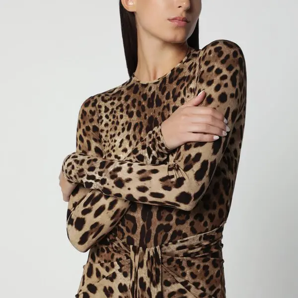 Dolce & Gabbana Leopard-print Viscose Jersey Dress