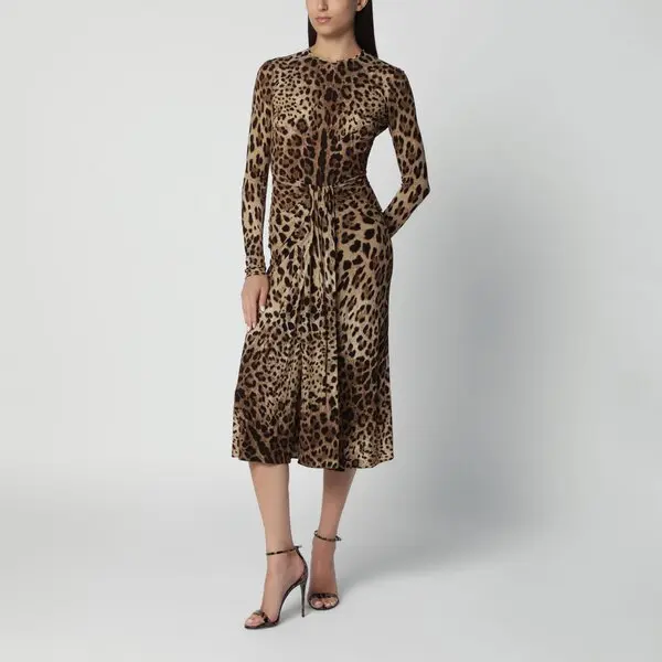 Dolce & Gabbana Leopard-print Viscose Jersey Midi Dress - Brown