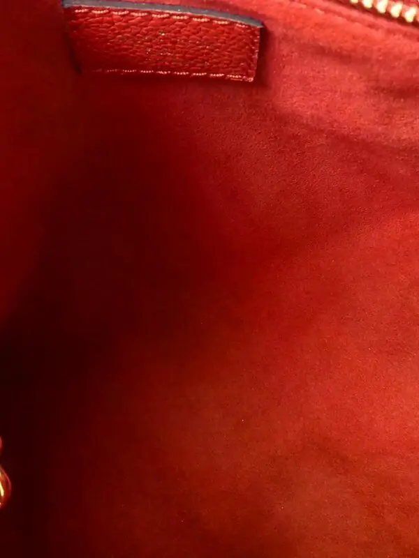 LOUIS VUITTON Surene Bb Shoulder Bag