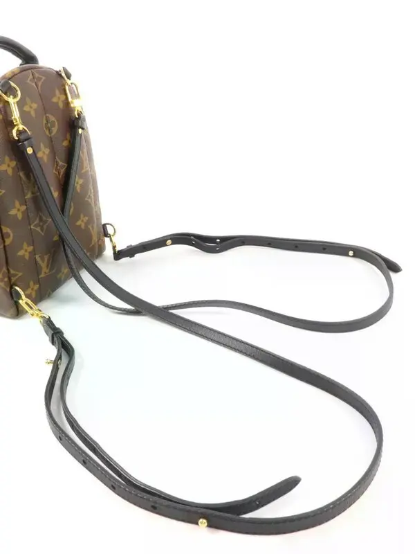 LOUIS VUITTON Mini Palm Springs Backpack In Monogram Canvas - Brown
