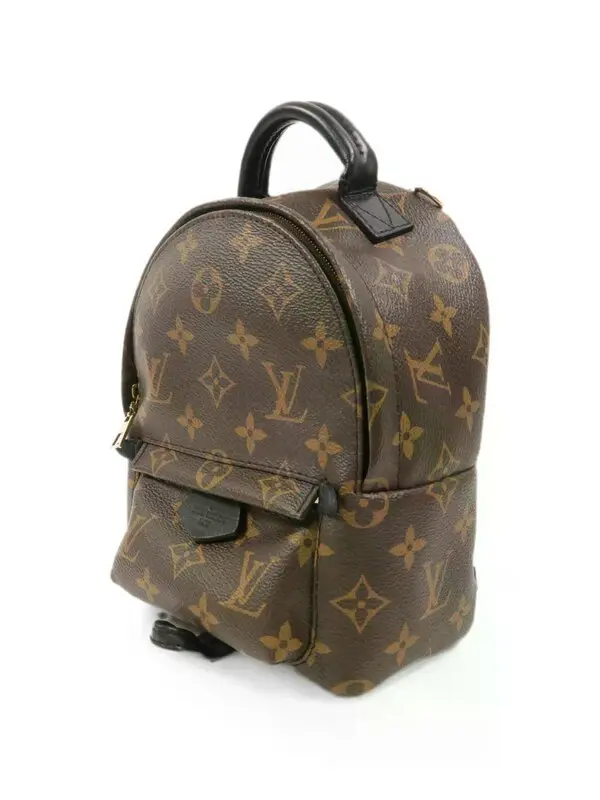 LOUIS VUITTON Mini Palm Springs Backpack - Brown