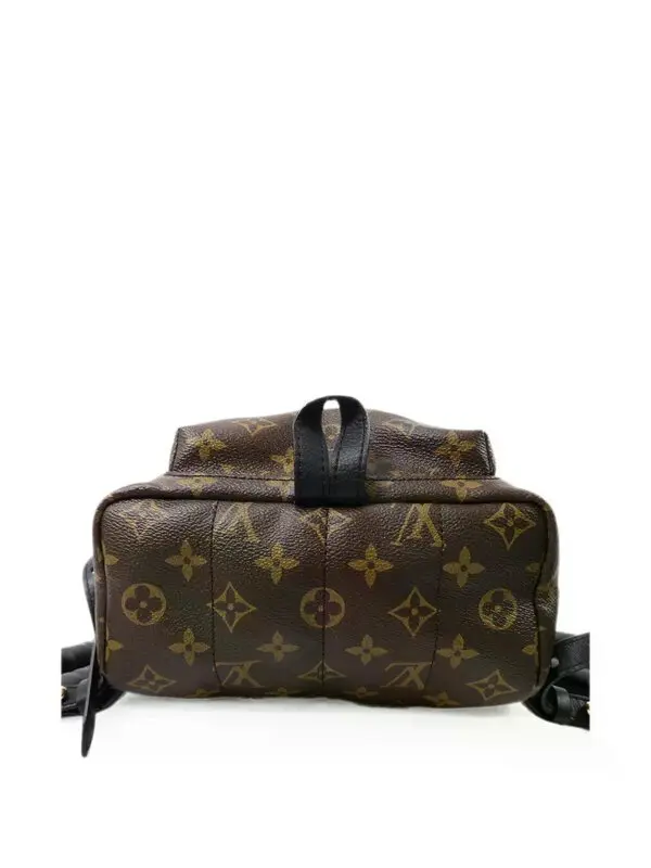 LOUIS VUITTON Palm Springs Monogram Backpack - Brown