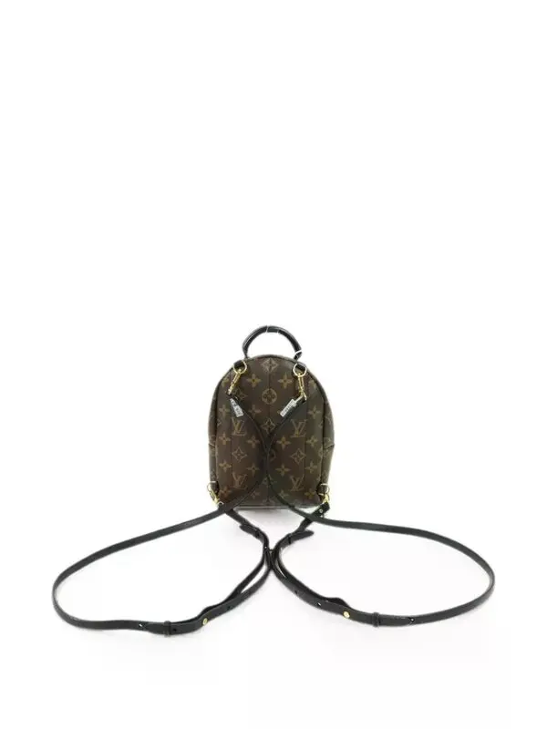 LOUIS VUITTON Palm Springs Mini Monogram Backpack - Brown