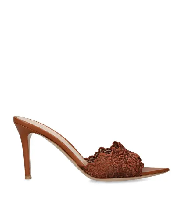 GIANVITO ROSSI Lace Yvonne Mules 85 - Brown