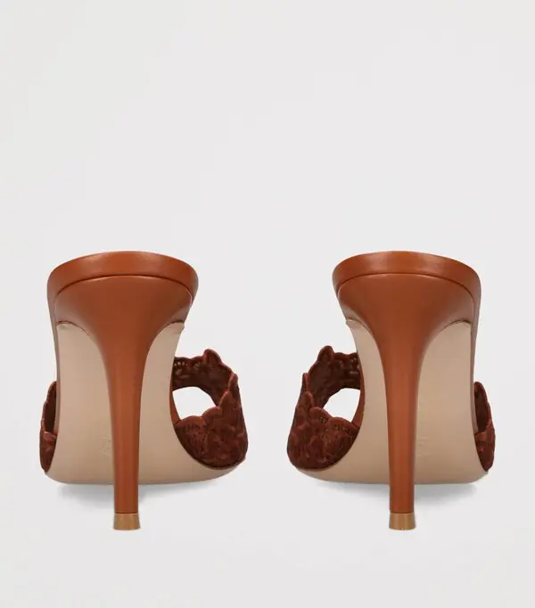 GIANVITO ROSSI Lace Yvonne Mules 85