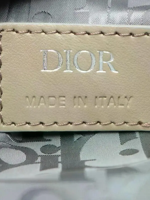 Dior Saddle Belt Bag