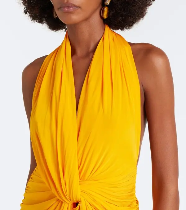 Alex Perry Draped Halterneck Jersey Gown