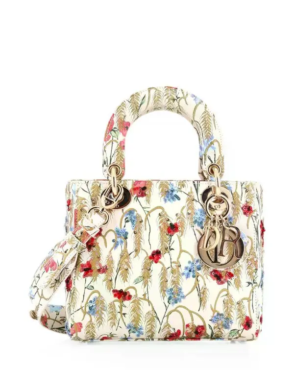 Dior My Abcdior Lady Bag Embroidered Printed Leather Satchel - Neutrals