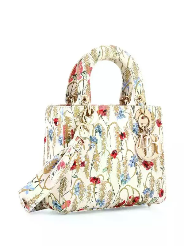 Dior My Abcdior Lady Bag Embroidered Printed Leather Satchel - Neutrals