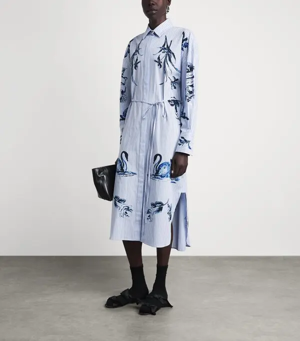 Erdem Floral Stripe Midi Shirt Dress