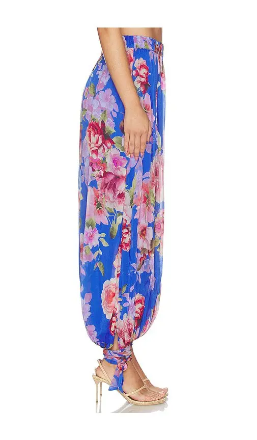 Hemant & Nandita Printed Chiffon Harem Pants