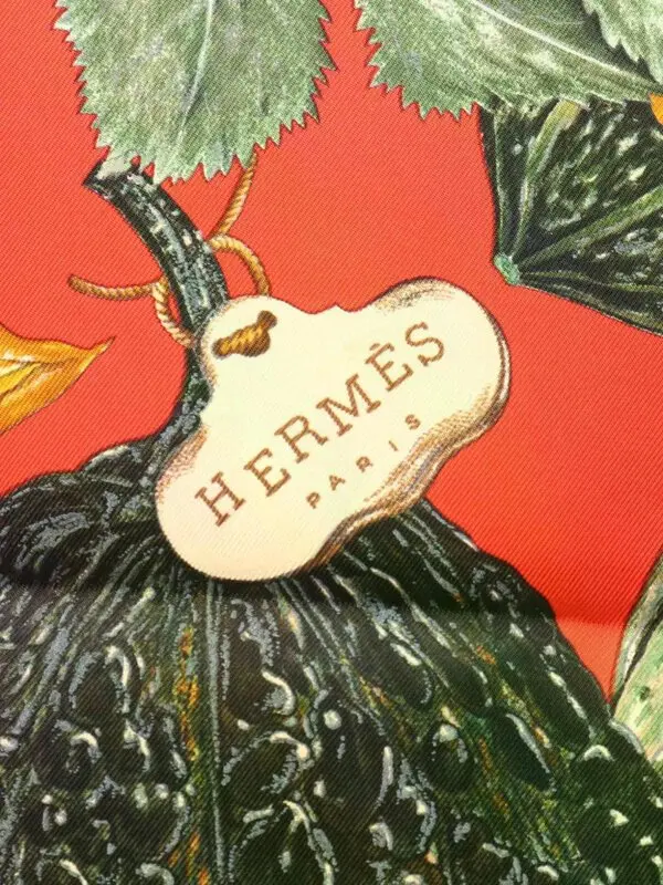 Hermès 2010s Citrouilles & Coloquintes Scarf