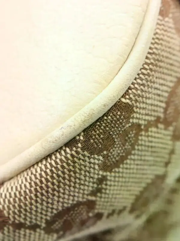 Gucci 2000s Gg Canvas Princy Tote Bag