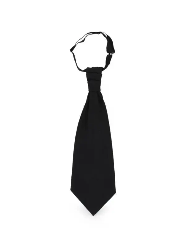 Corneliani Ascot Tie
