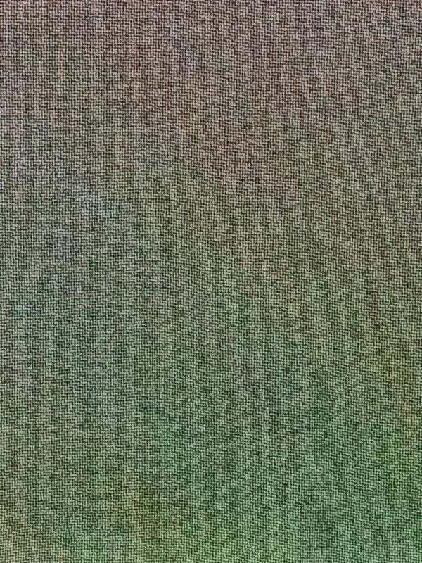 Faliero Sarti Alberto Frayed Scarf