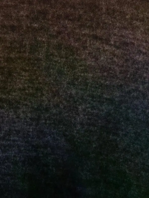 Faliero Sarti Adry Ombré Frayed-edge Scarf