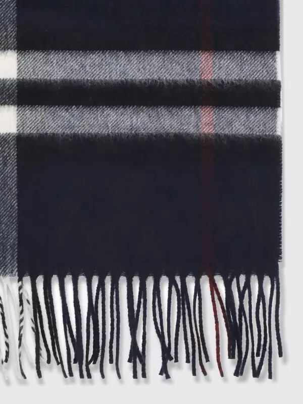 Burberry Scarf Colour