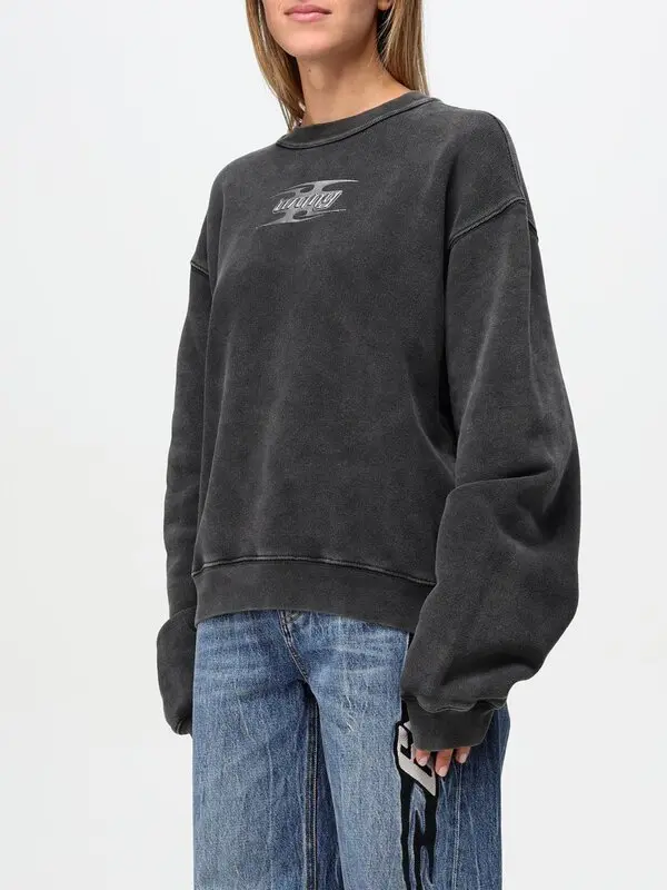 Alexander Wang Sweatshirt Colour
