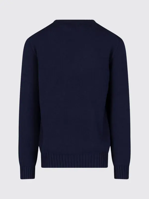 Polo Ralph Lauren Graphic Print Cotton Crewneck Sweater - Blue