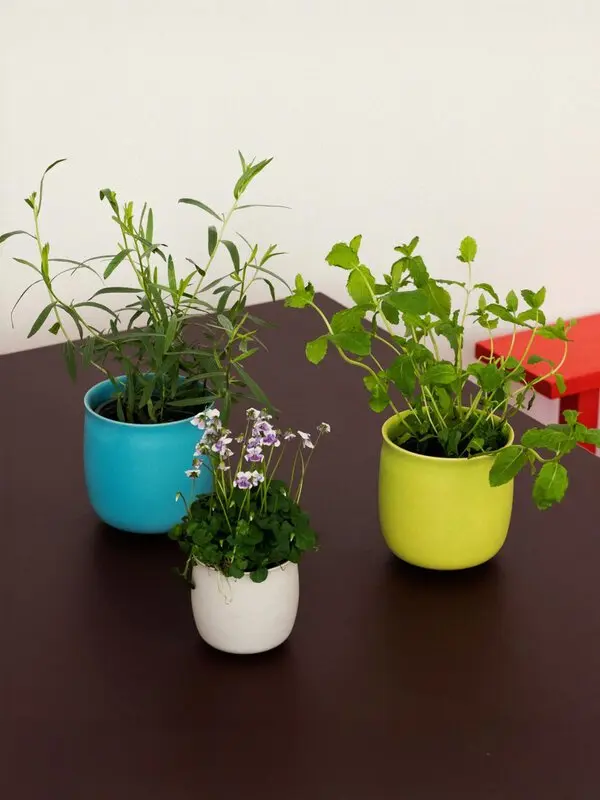 RAAWII Vases Lifestyle Colour
