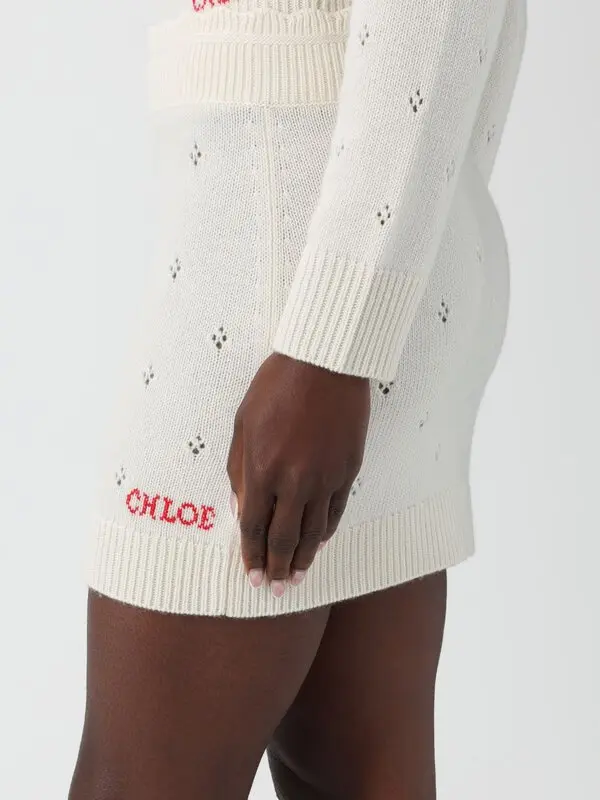Chloé Skirt Colour