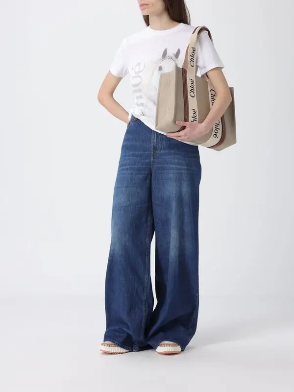 Chloé Shoulder Bag Colour