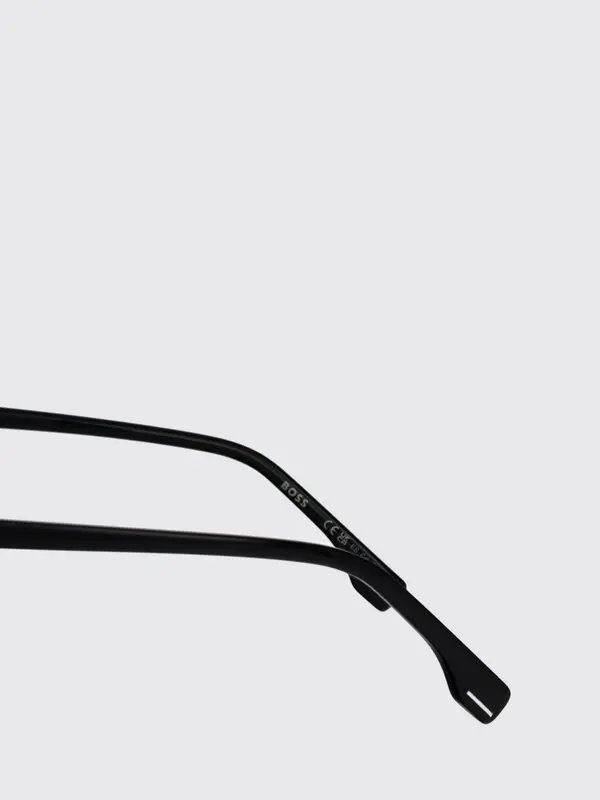 BOSS 1490/s Acetate Sunglasses