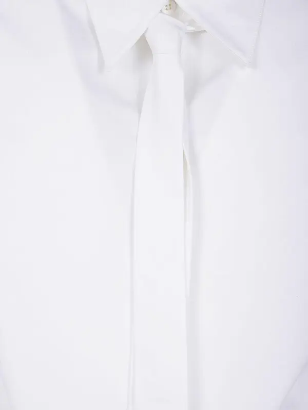 JIL SANDER Shirt Colour