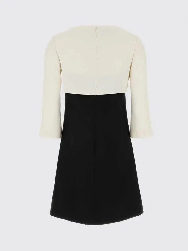 Valentino Garavani Dress Colour