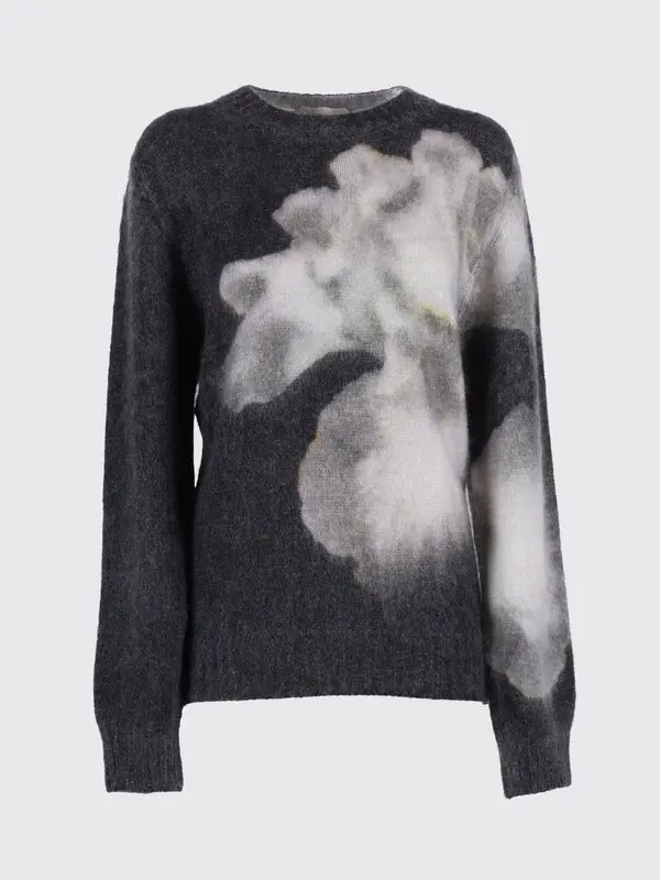 Alberta Ferretti Jumper Colour