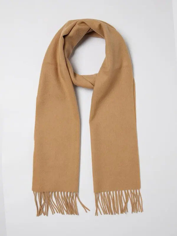 Carhartt Work In Progress Scarf Colour