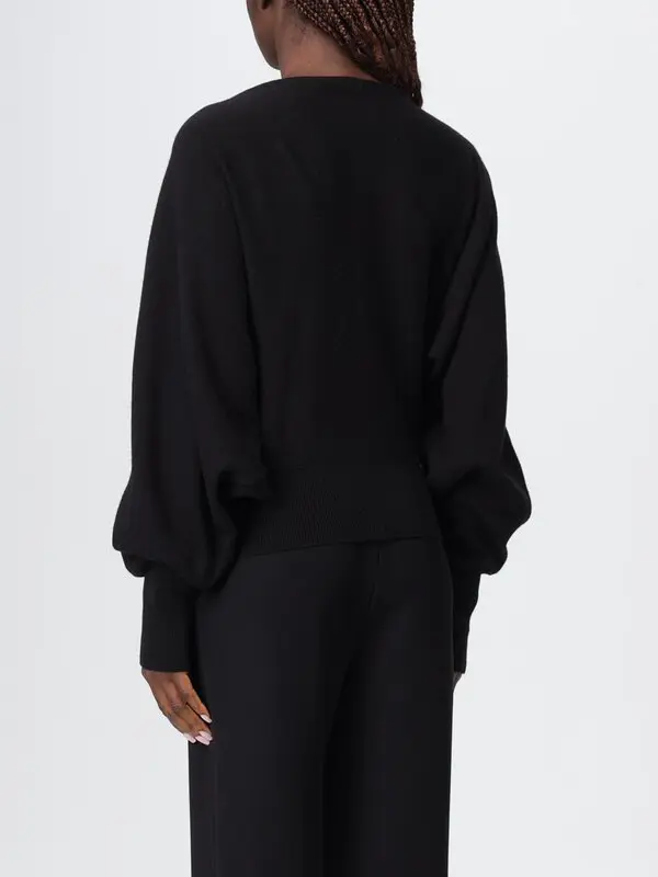 Alberta Ferretti Jumper Colour