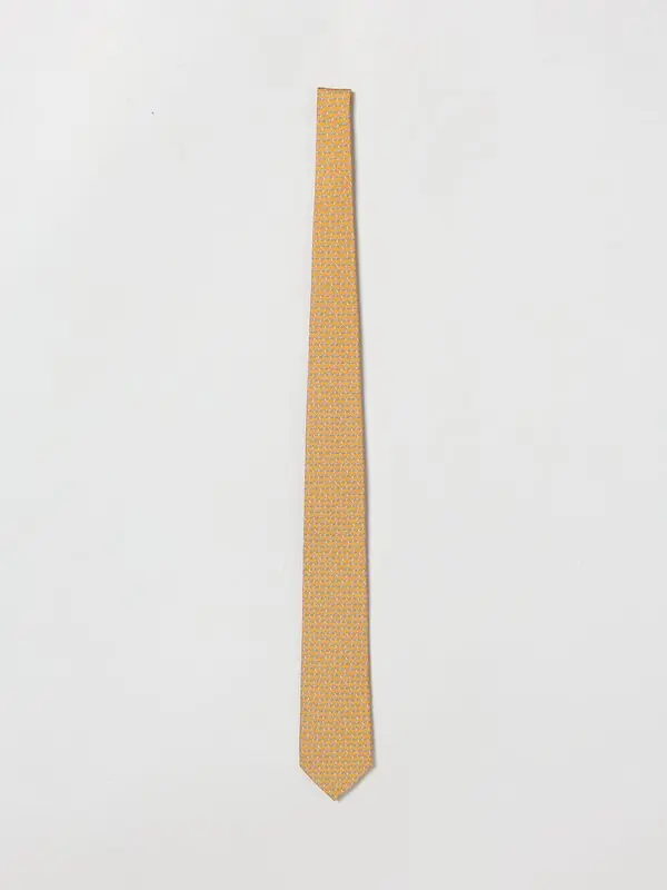 FERRAGAMO Tie Colour