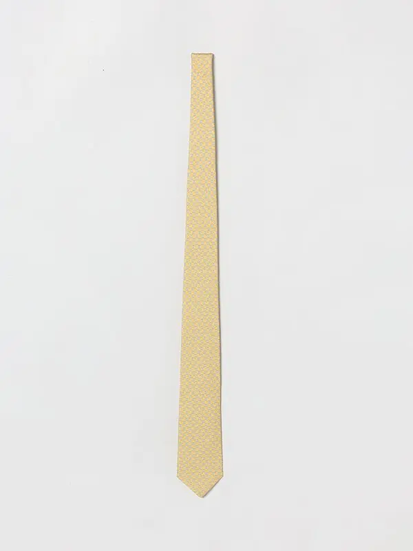 FERRAGAMO Tie Colour