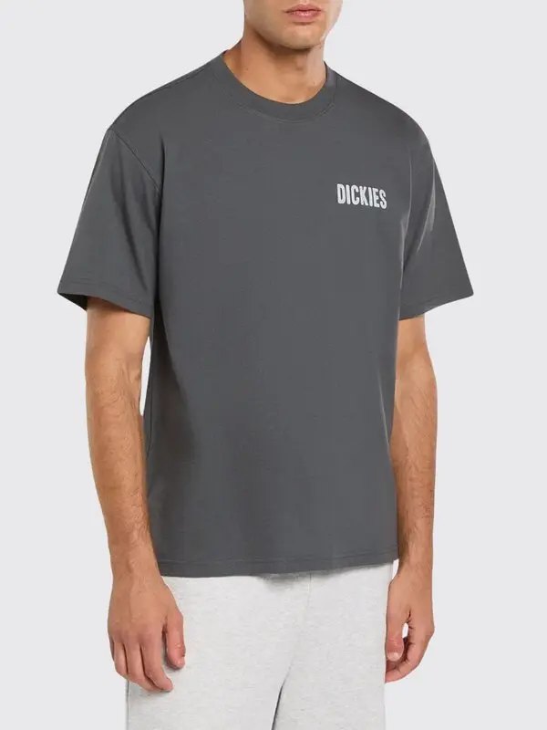 Dickies T-shirt Colour