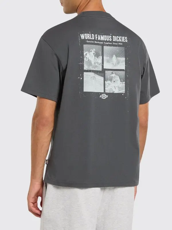 Dickies T-shirt Colour
