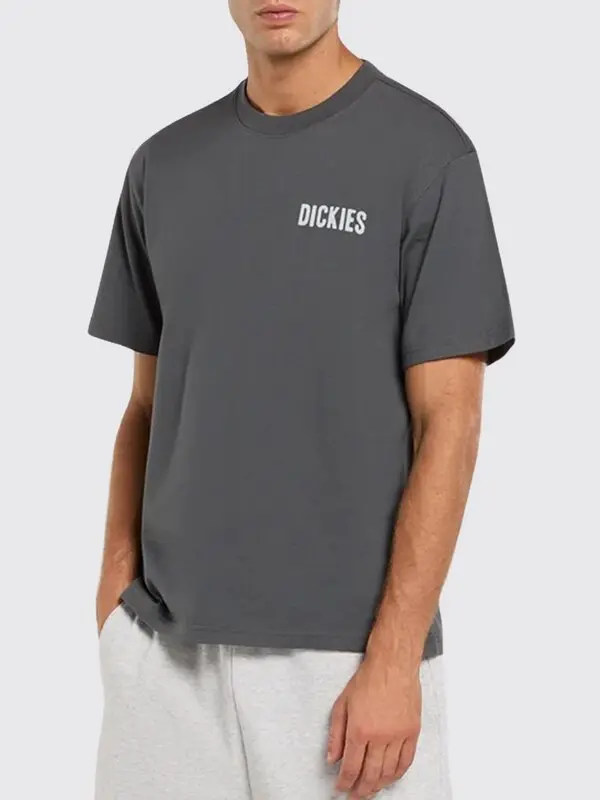 Dickies T-shirt Colour