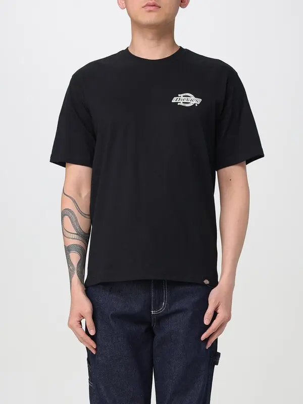 Dickies T-shirt Colour