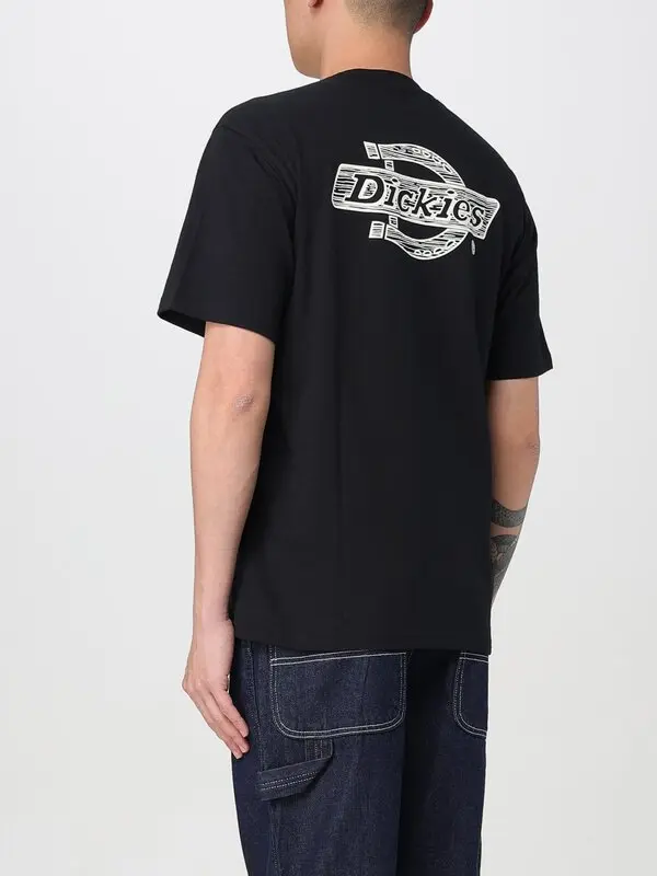 Dickies T-shirt Colour