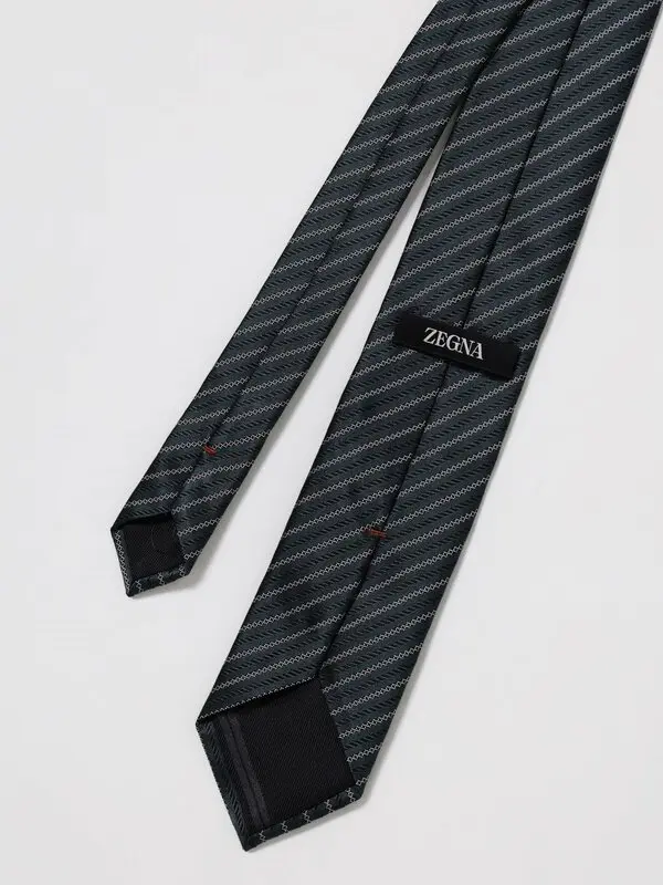 Zegna Tie Colour