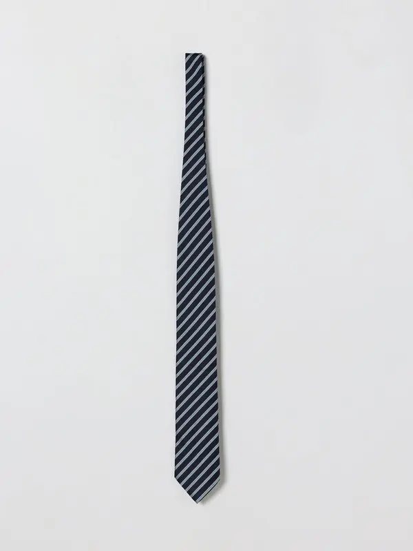 Zegna Tie Colour