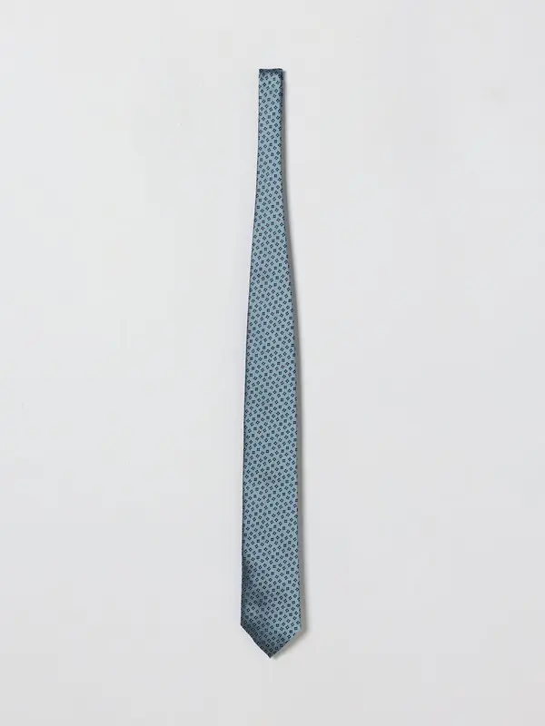 Zegna Tie Colour